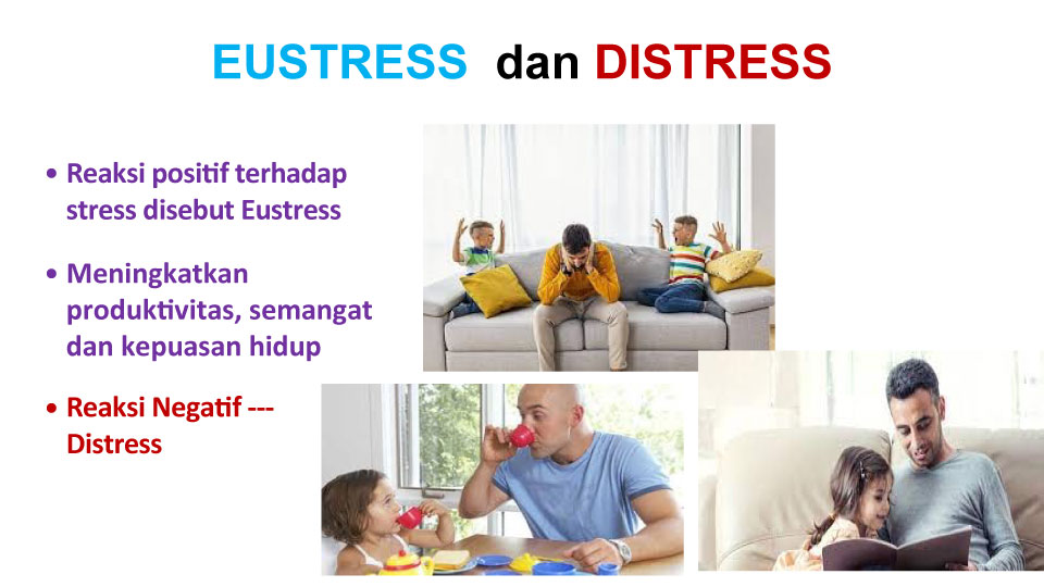 Kenali Stress dan Cara Mengelolanya – Lingkar Madani